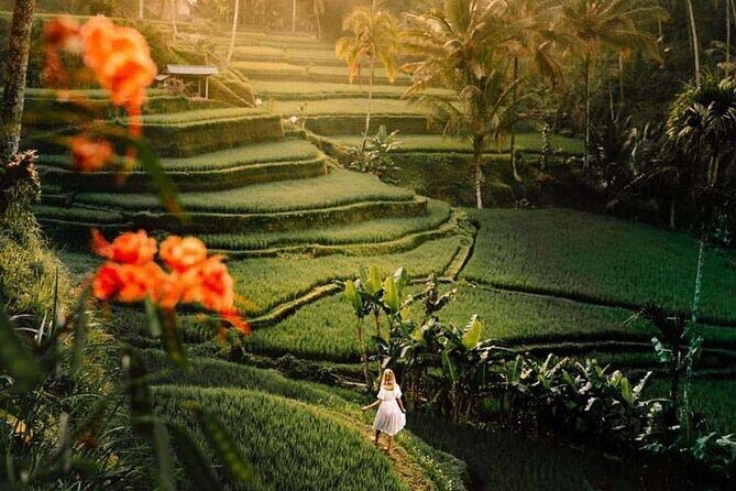 Ubud Private Tour - Waterfalls, Water Temple & Rice Terraces - The Sum Up