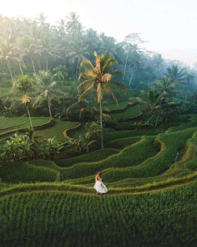 Ubud: Private Tour with Gunung Kawi Temple & Waterfall - The Sum Up