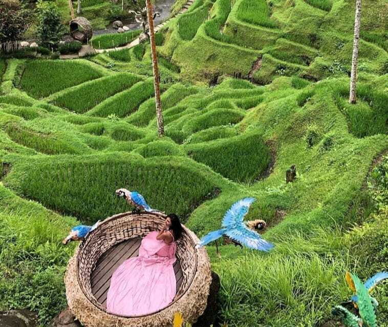 ubud : private tour,atv,rice terrace,waterfalls - Value and Price