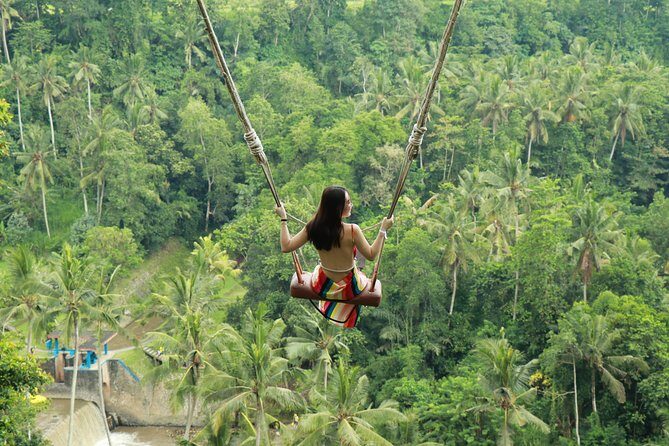 Ubud Private Tours with Jungle Swing Experience - all inclusive - Ubud Private Tours with Jungle Swing Experience – All Inclusive