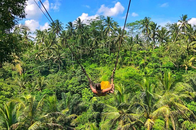 Ubud Rafting, BIG Swing & Spa Package - Who Would This Tour Suit Best?