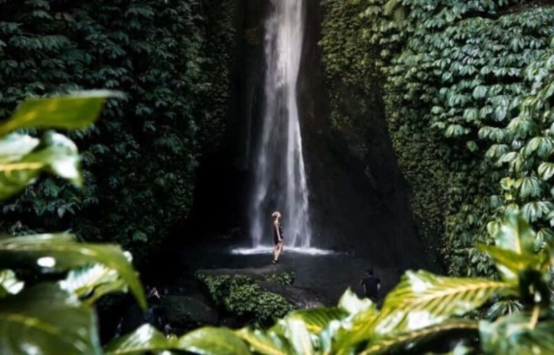 Ubud: Rice Planting, Coconut Oil Class and Waterfall - Ending on a Serene Note: Sangeh Monkey Forest