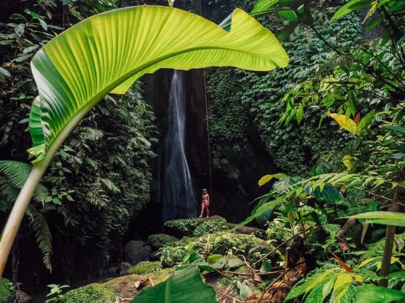 Ubud: Rice Planting, Coconut Oil Class and Waterfall - Practical Details and Logistics