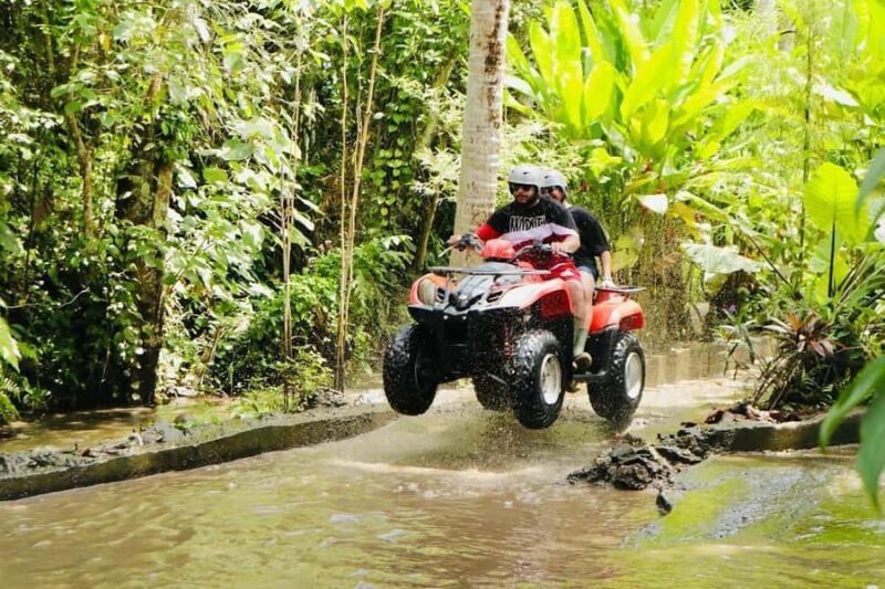 Ubud: Rice Teracces,Gorila Face ATV & Rafting - Who Should Book This Tour?