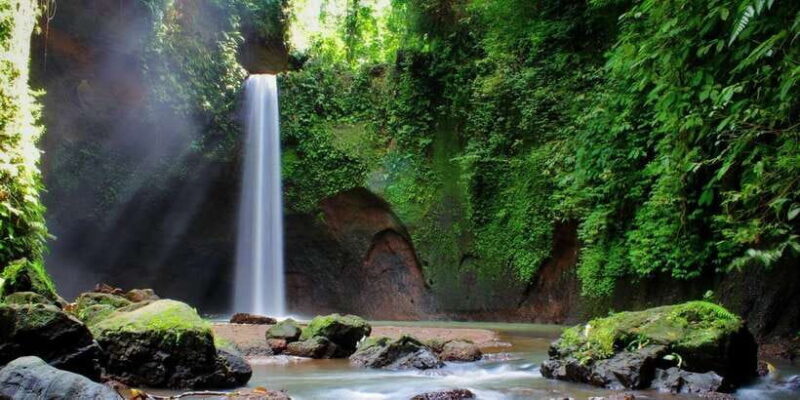 Ubud: Rice Terrace, Holy Water Temple & Waterfalls Trek Tour - Who Will Love This Tour?