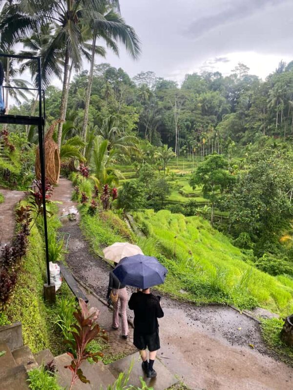 Ubud: Rice Terrace, Monkey Forest, Temple, & Waterfall - Key Points