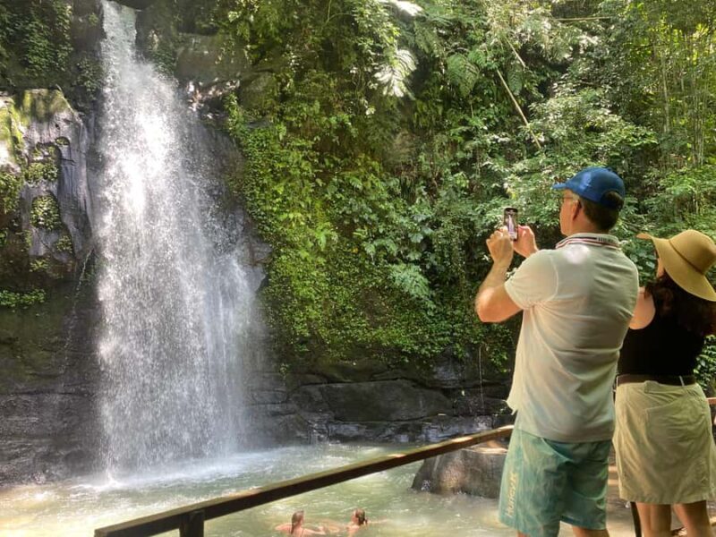 Ubud: Rice Terrace, Monkey Forest, Temple, & Waterfall - Practical Aspects & Tips