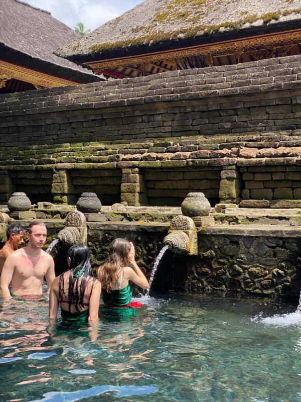 Ubud: Rice Terrace, Monkey Forest, Temple, & Waterfall - Who Should Book This Tour?