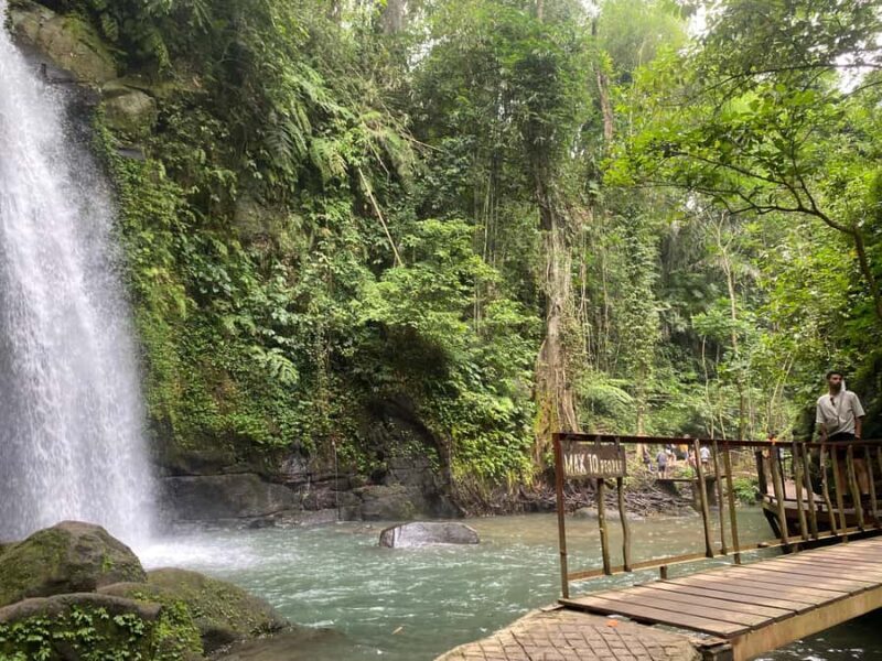 Ubud: Rice Terrace, Monkey Forest, Temple, & Waterfall - Final Thoughts