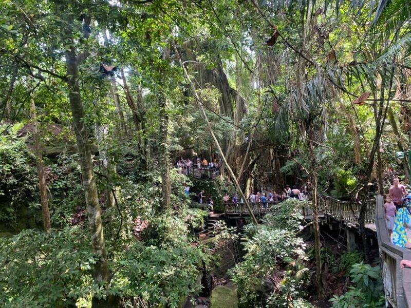 Ubud: Rice Terrace, Monkey Forest, Temple, & Waterfall - Frequently Asked Questions