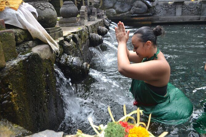 Ubud Rice Terrace Swing Waterfall Private Guided Tour - Why Travelers Love This Tour