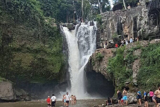 Ubud Rice Terrace Swing Waterfall Private Guided Tour - The Sum Up: Worth Your Time and Money
