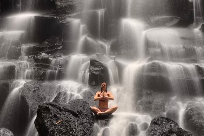Ubud : Rice Terrace, water Temple and Waterfalls Private tour - A Deep Dive into the Ubud Tour Experience