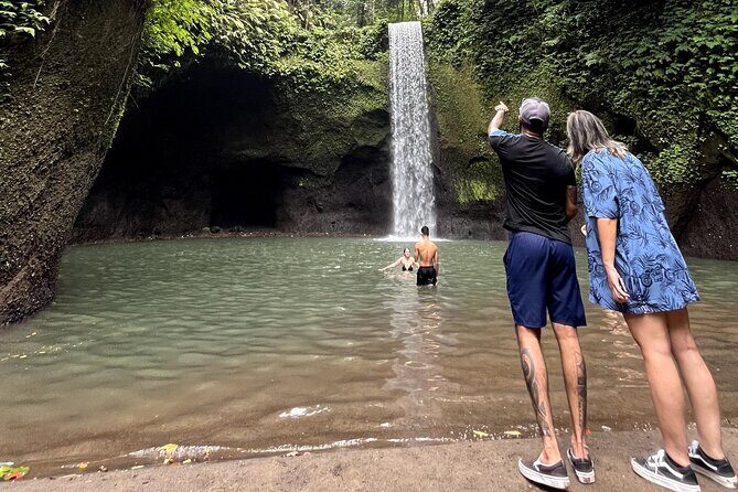 Ubud : Rice Terrace, water Temple and Waterfalls Private tour - Authenticity & Reviews