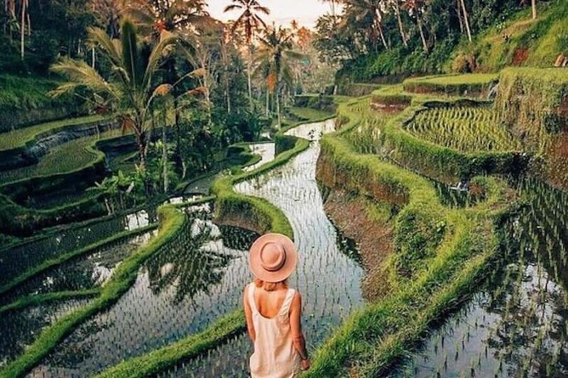 Ubud: Rice Terrace, Waterfall, & Elephant Cave - FAQ