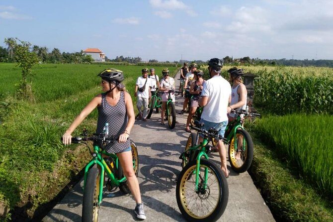 Ubud Rice Terraces eBike Private Tour - Key Points