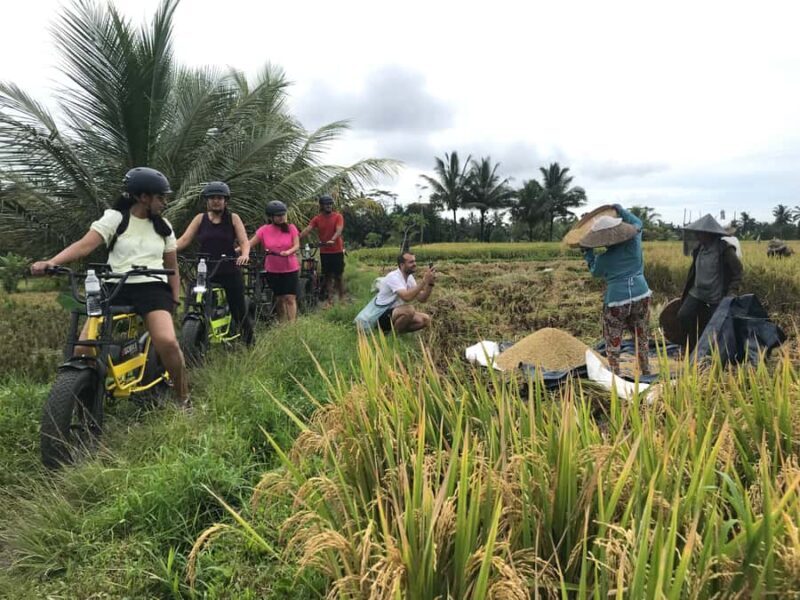 Ubud: Rice Terraces & Villages Half-Day Fat Tire E-Bike Tour - Key Points