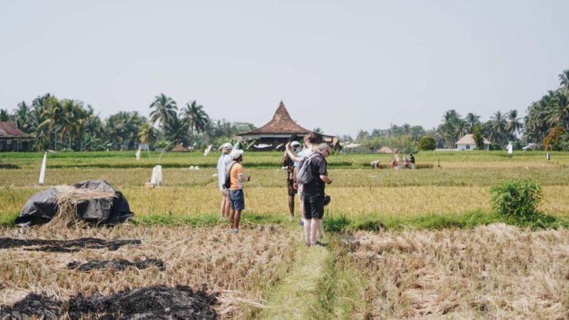 Ubud: Rice Terraces & Villages Half-Day Fat Tire E-Bike Tour - Considerations