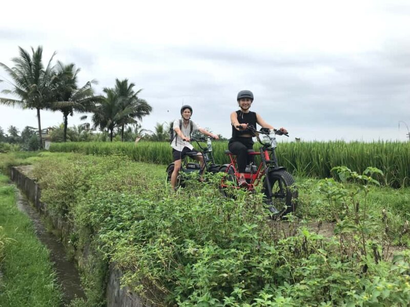 Ubud: Rice Terraces & Villages Half-Day Fat Tire E-Bike Tour - Final Thoughts