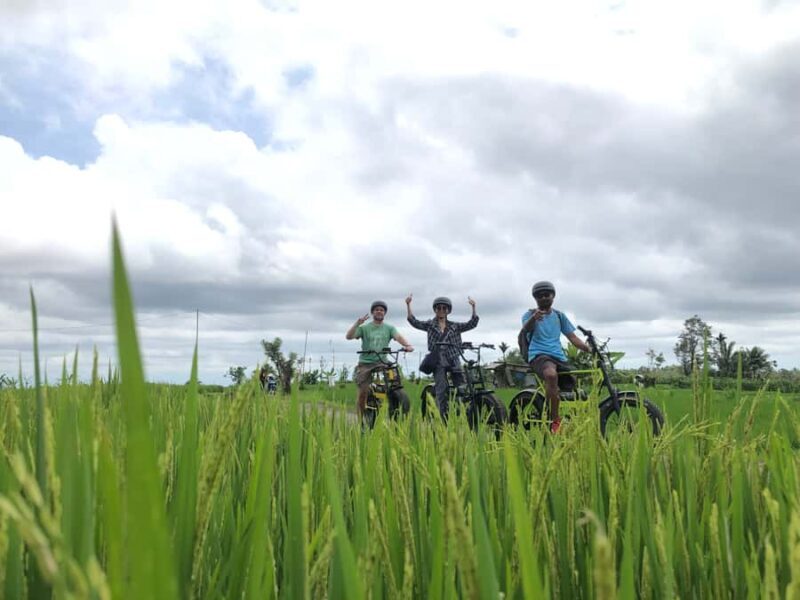 Ubud: Rice Terraces & Villages Half-Day Fat Tire E-Bike Tour - FAQ