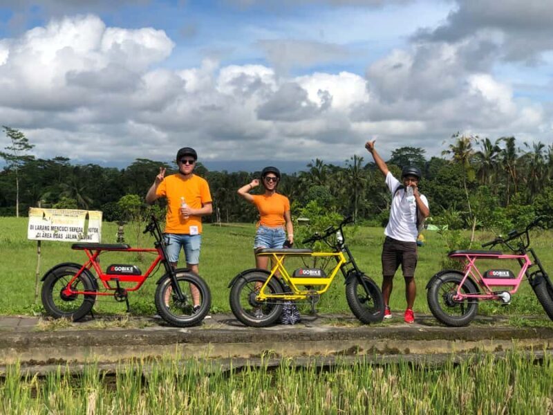 Ubud: Rice Terraces & Villages Half-Day Fat Tire E-Bike Tour - Who This Tour Is Best For
