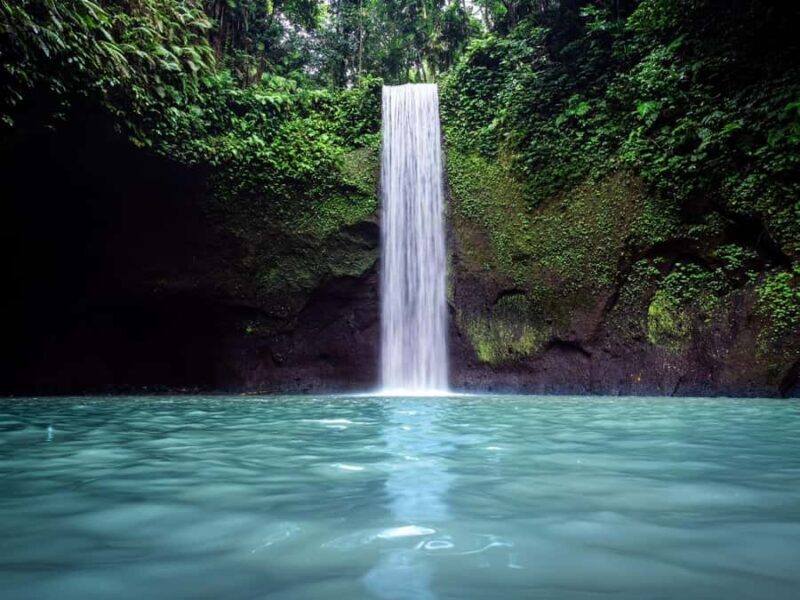 Ubud: Rice Terraces, Water Temple, & Waterfalls Private Tour - A Day in Bali’s Natural and Spiritual Heart