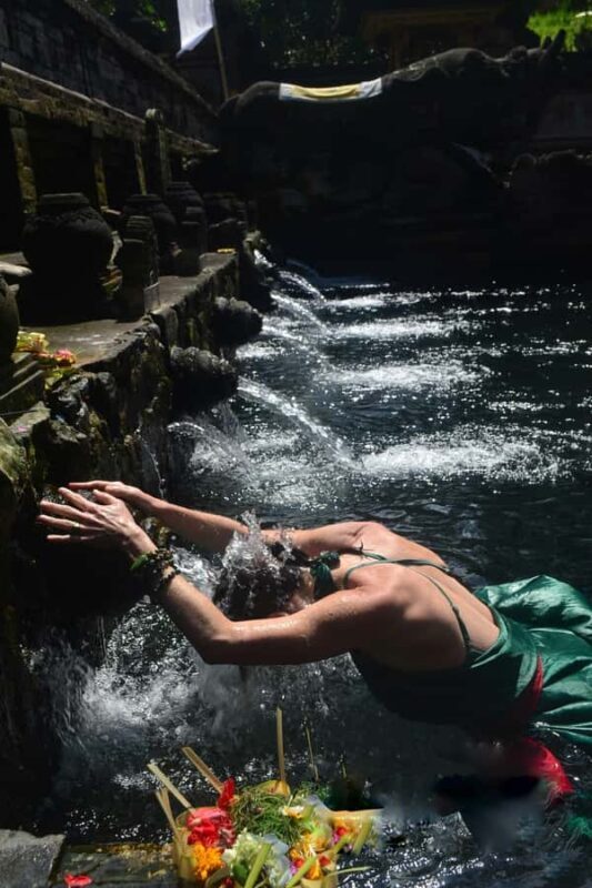 Ubud: Rice Terraces, Water Temple, & Waterfalls Private Tour - FAQ