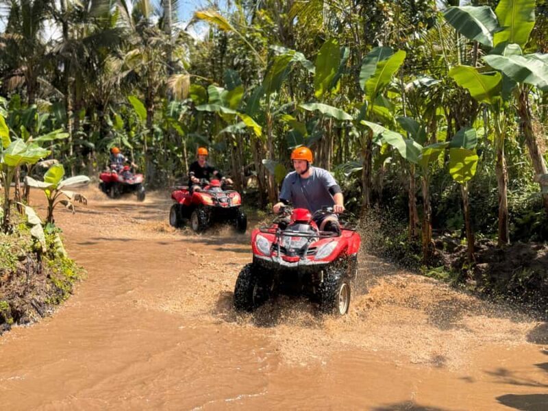 Ubud: River Cave Tubing Adventure & Gorilla ATV Quad Bike - An In-Depth Look at the Ubud Adventure