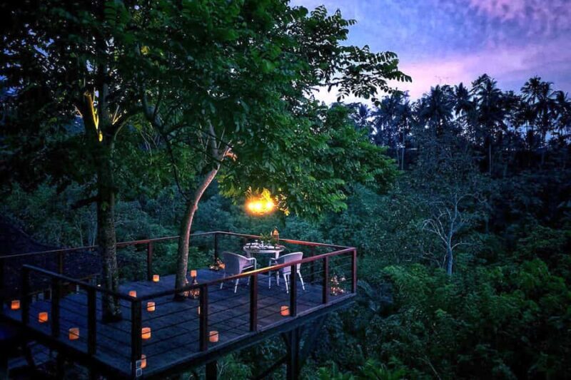 Ubud: Romantic Dinner on a Forest Tree Deck - The Experience: What to Expect
