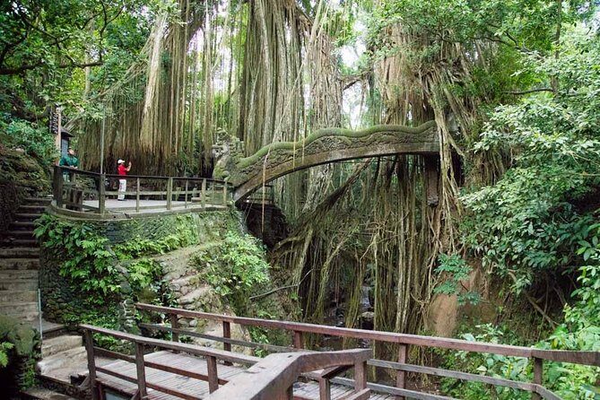 Ubud Sacred Monkey Forest & Art Village Tour - What to Expect from the Ubud Sacred Monkey Forest & Art Village Tour