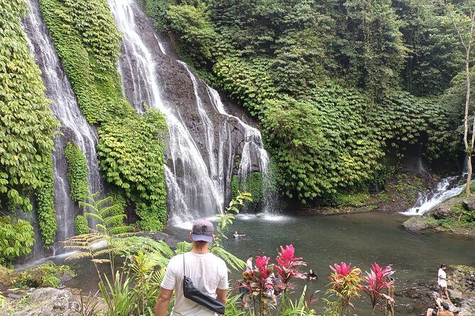 Ubud-Sanur to Menjangan area - What’s Included and What’s Not