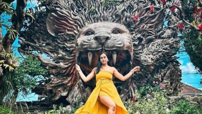 Ubud: Several Ubud Tour Itenarary with Private Driver - Exploring Ubud in Comfort and Style