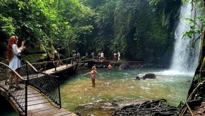 Ubud: Several Ubud Tour Itenarary with Private Driver - What to Expect on Your Day