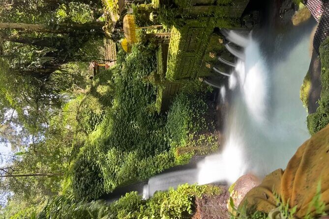Ubud Shamanic Healing and Purification Ceremony - Introducing Bali’s Sacred Rituals