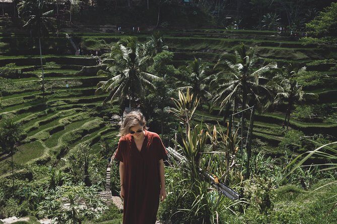 Ubud Shared Tour: Ubud Waterfalls, Tegalalang & Holy Water Temple - Who Is This Tour Best For?