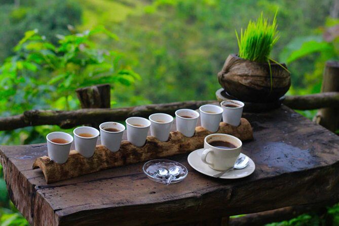 Ubud Sightseeing, Holy Water Temple & Waterfall - The Experience of Guided Local Knowledge