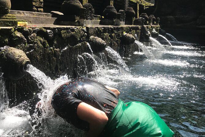 Ubud Sightseeing, Holy Water Temple & Waterfall - Final Thoughts: Who Should Consider This Tour?