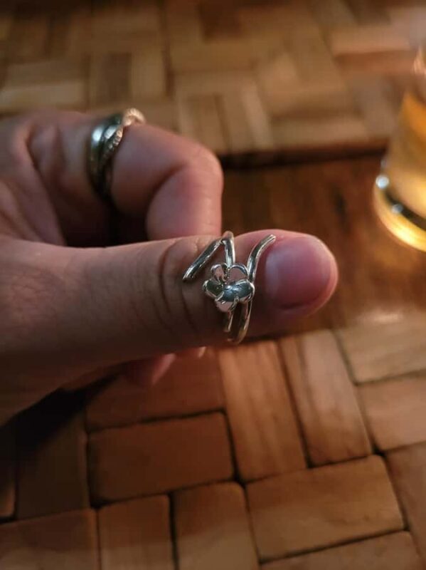 Ubud: Silver Making Class and Fireflies Evening Tour - Witnessing the Magic: Fireflies at Dusk