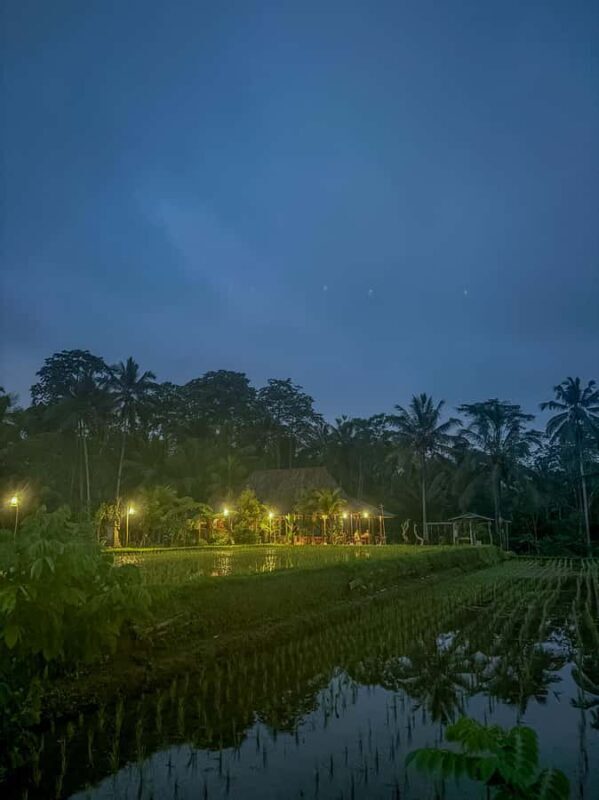 Ubud: Silver Making Class and Fireflies Evening Tour - Practical Details and Tips