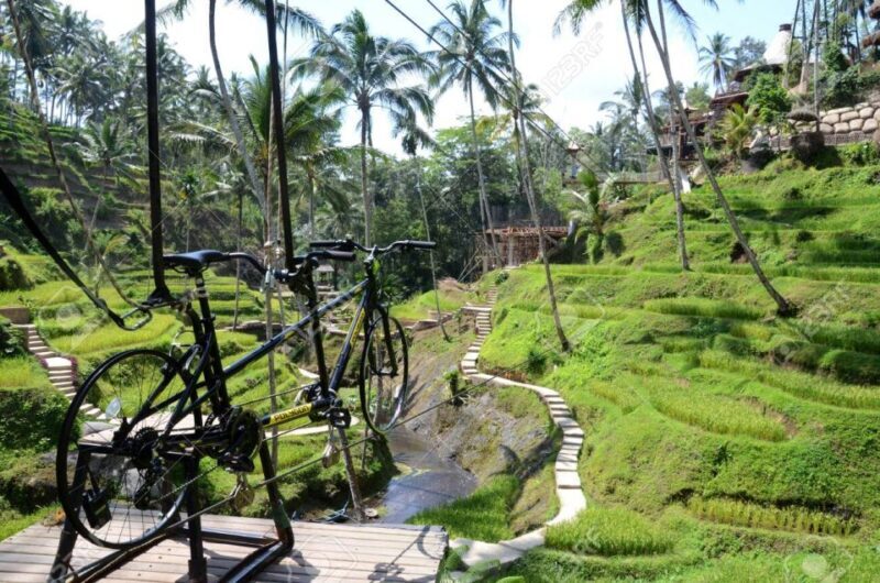 Ubud: Sky Bike Adventure, Swing & Rice Terrace with Transfer - Final Thoughts