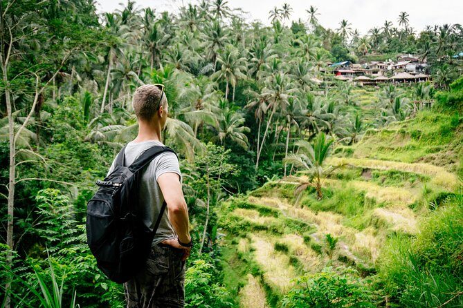 Ubud Small Group Tour: Monkey Forest, Tegalalang Rice Terraces and more - Key Points