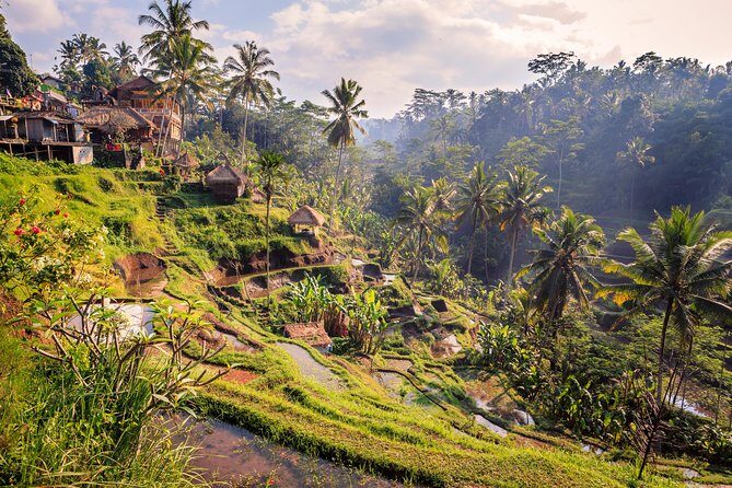 Ubud Small Group Tour: Monkey Forest, Tegalalang Rice Terraces and more - Who Should Consider This Tour?