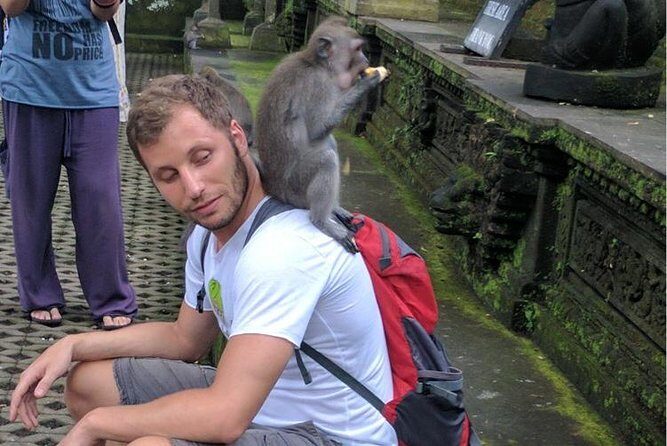 Ubud Small Group Tour: Monkey Forest, Tegalalang Rice Terraces and more - The Sum Up