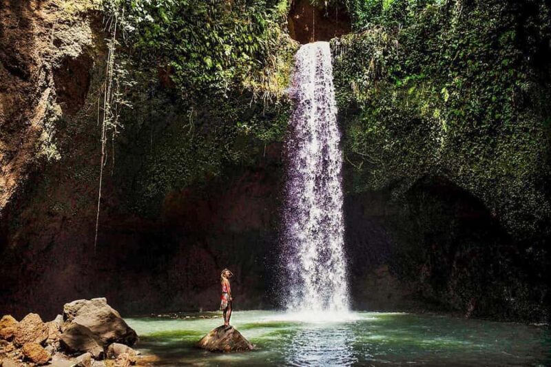 Ubud: Spectacular Waterfalls Tour - Who This Tour Is Best For