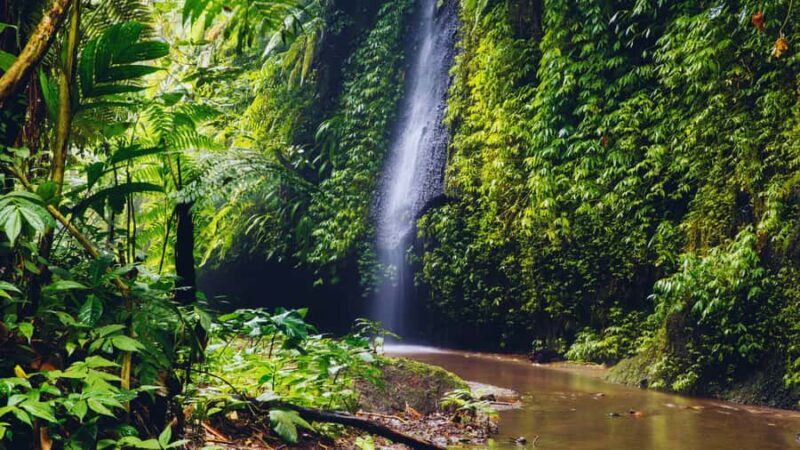 Ubud: Spectacular Waterfalls Tour - Final Thoughts