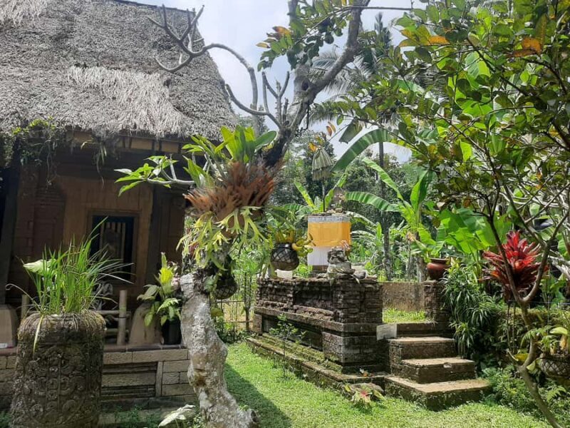 Ubud: Spiritual Experience Balinese Astrology and Blessing - Practical Tips for Participants