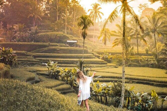 UBUD Spring Temple, Waterfall, Rice Terraces Private Tour - Frequently Asked Questions