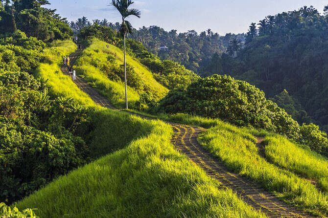 Ubud Story Walking Tour by Spanish, Japanese, English Guide - Key Points