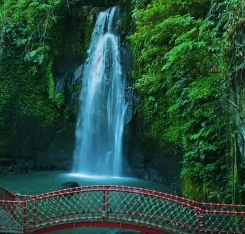 Ubud; Sunrise Cafe, Waterfall & Rice Terrace Private Tour - Frequently Asked Questions