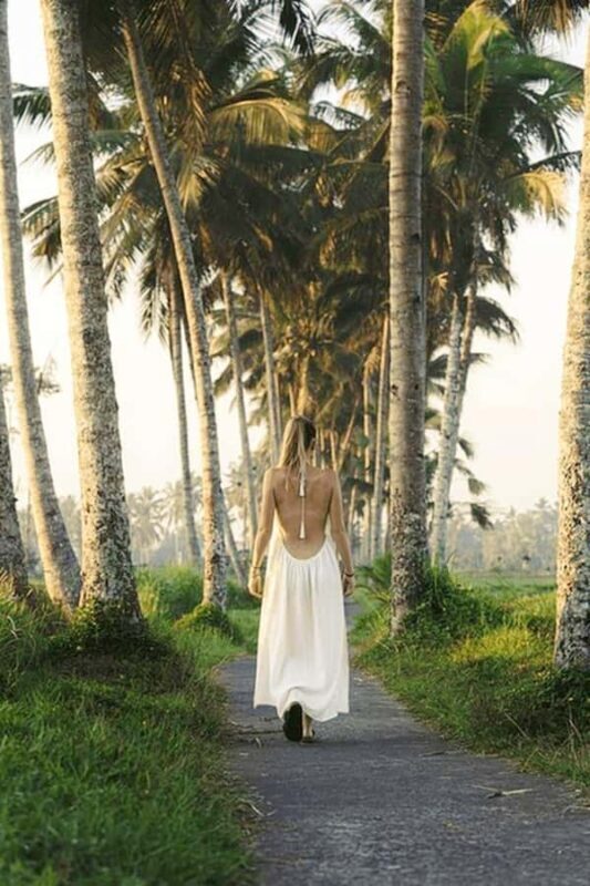 Ubud: Sunrise Rice Terrace Trek, Water Temple & Offering - Key Points